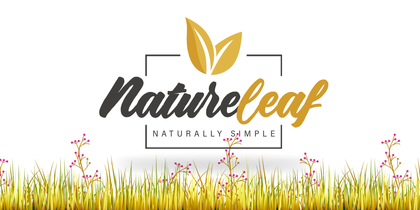 Font De Sandey: descargar e instalar en el WEB sitio