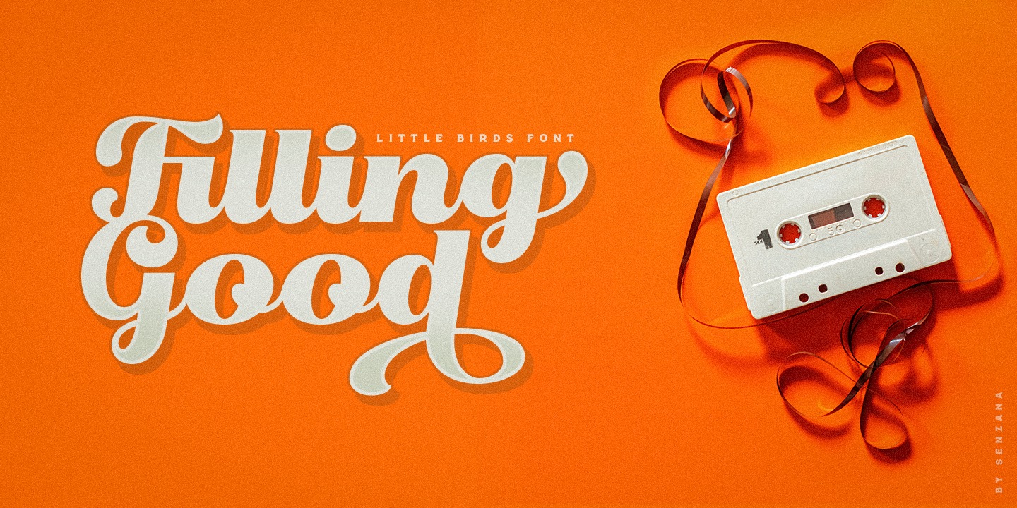 Font Little Birds Script: descargar e instalar en el WEB sitio