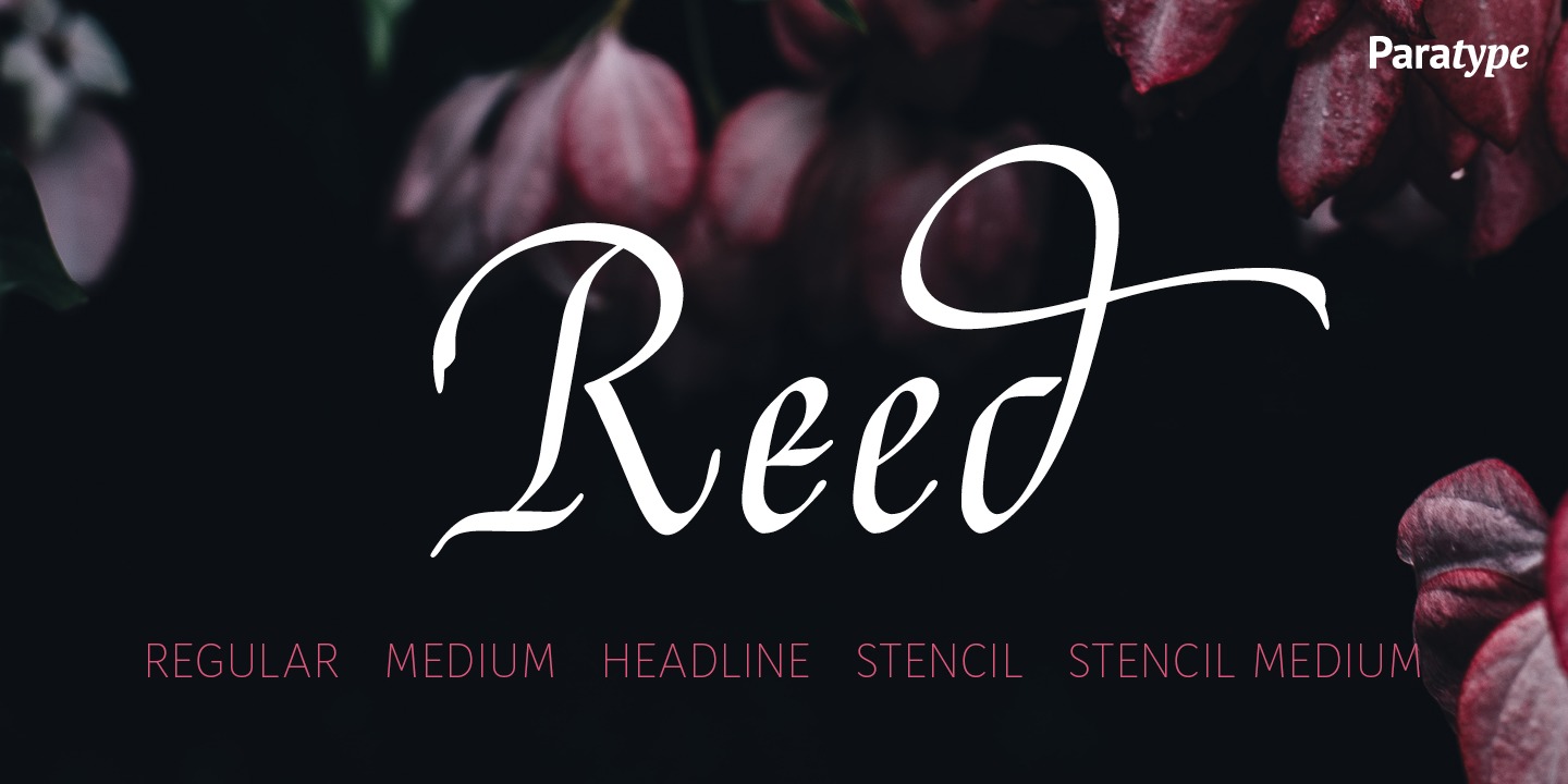 Font Reed: descargar e instalar en el WEB sitio